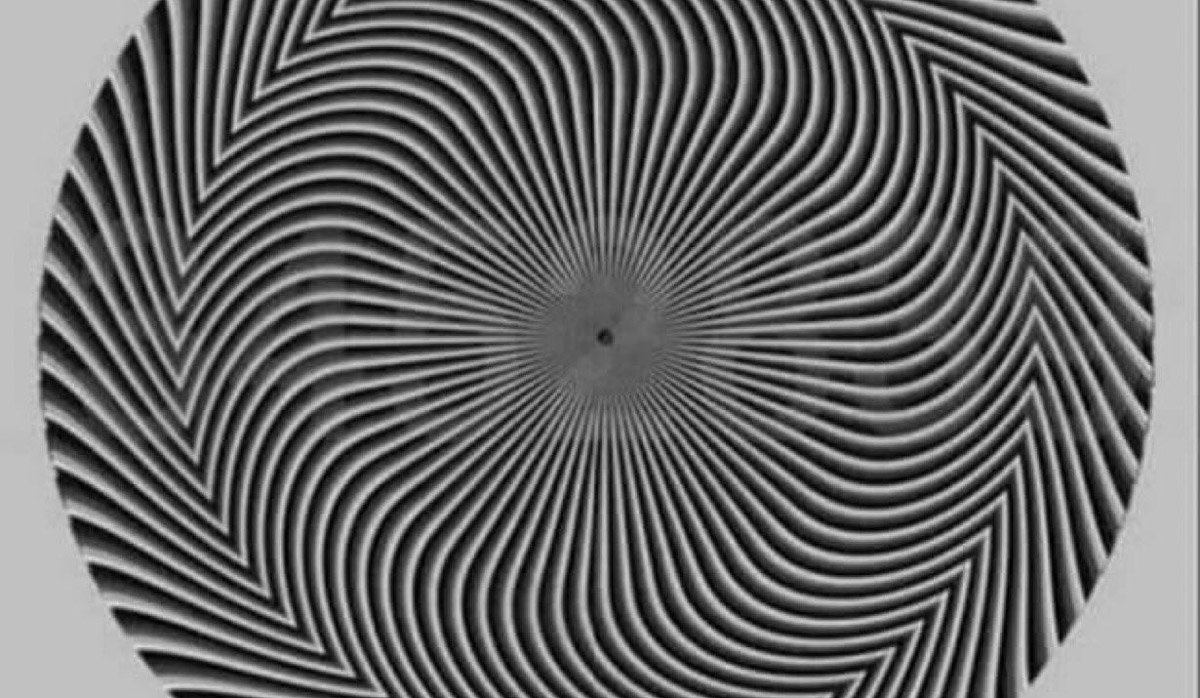 This Optical Illusion Shows A Hidden Number Which Everyon 