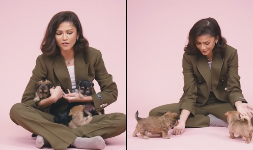 Tom Holland has ultimate rizz, Zendaya just confirmed it