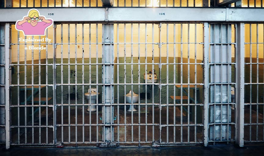 Why is the UK government’s early prison release scheme so...