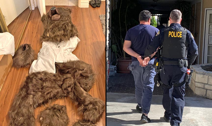 Bear attack on Rolls-Royce exposed as insurance scam usin...